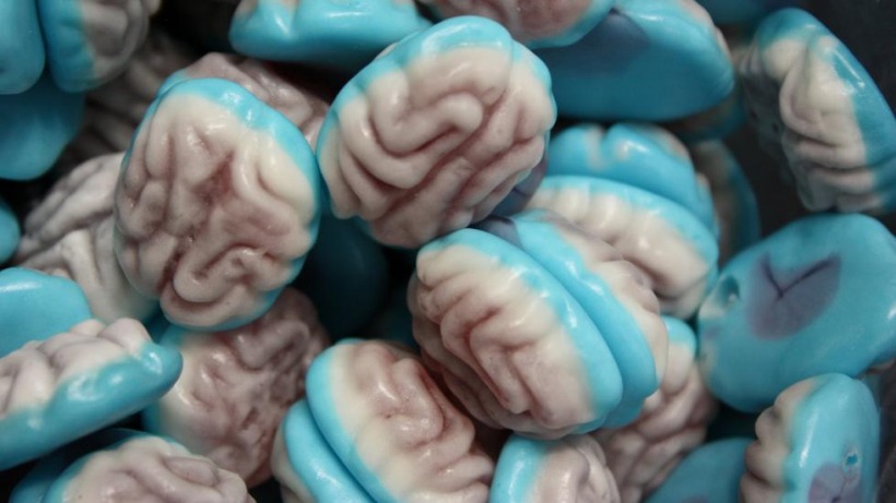 Department of Cognitive and Brain Sciences